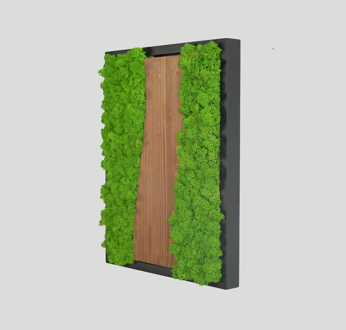 Blue stabilized anchor and lichens in white frame – ELGREN