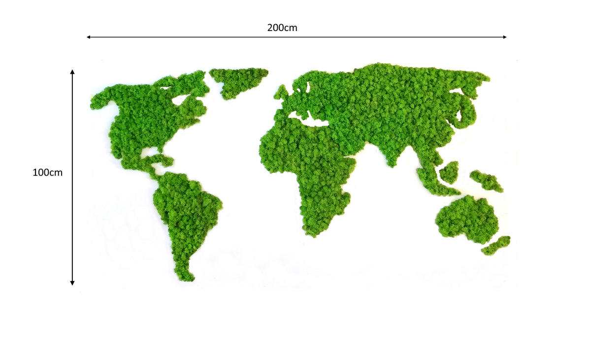 Planisfero licheni stabilizzati light green – ELGREN