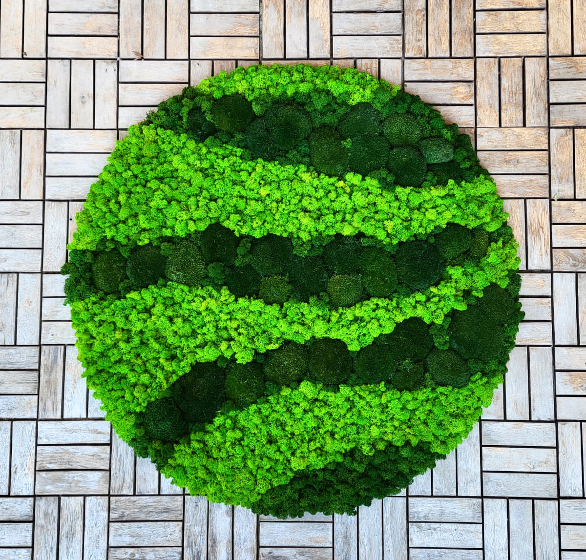 Pannello circolare a parete WAVE licheni & polemoss – ELGREN